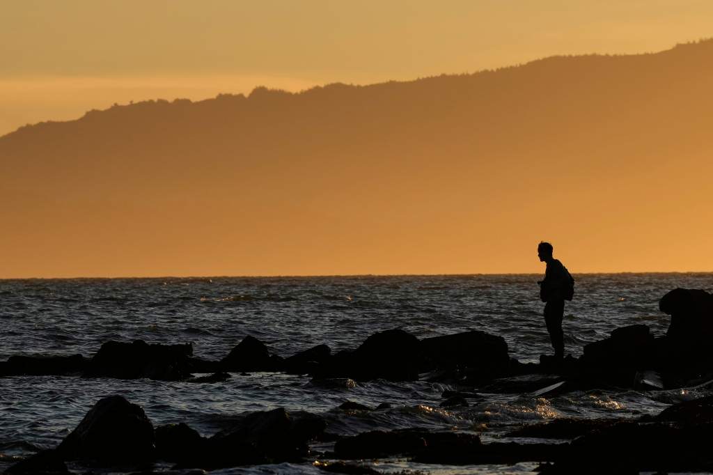 Do ‘forever chemicals’ age men faster? Experts urge caution on new study