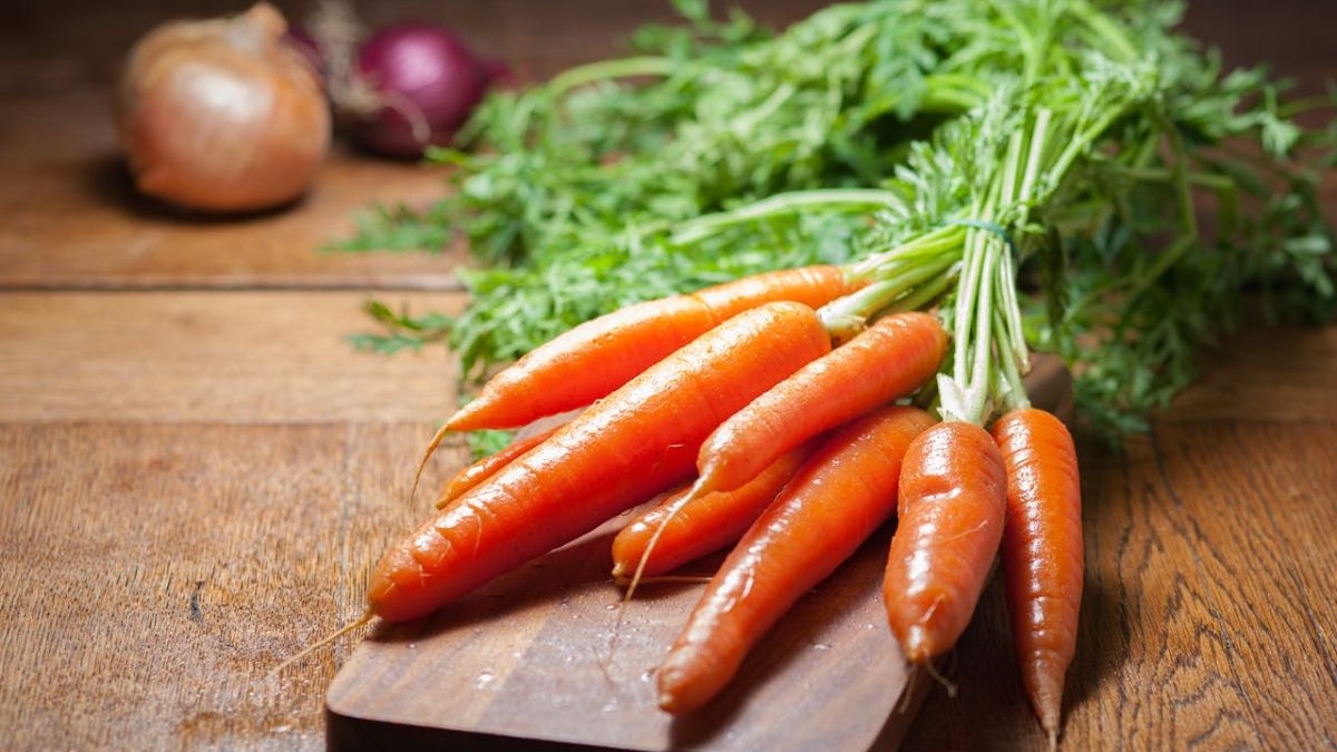 8 human foods your dog can safely eat, experts say