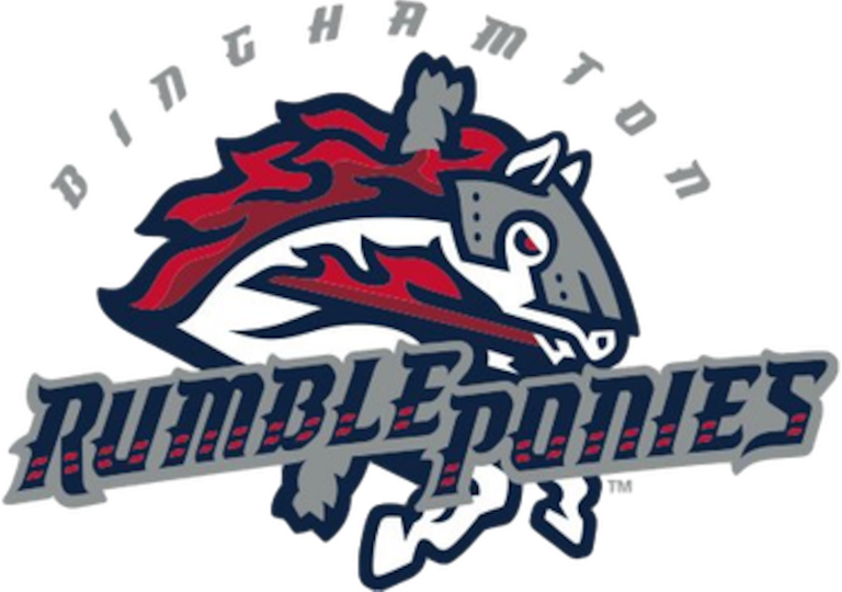 A lineup of 9 of the wackiest minor league baseball team names