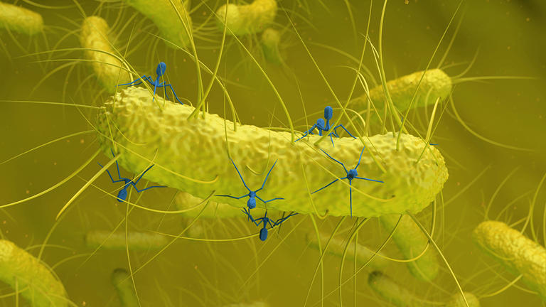 A hidden virus found in gut bacteria is linked to colorectal cancer