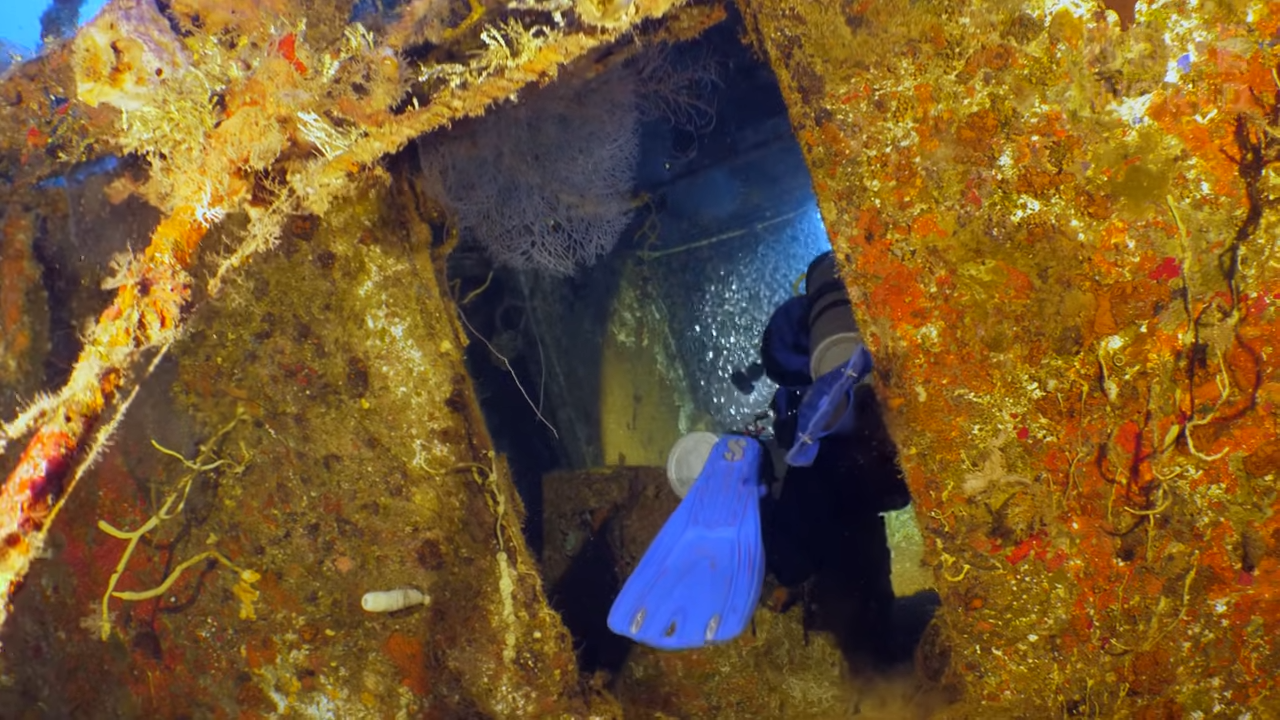 Hanging ropes covered the wreck no one warned them about
