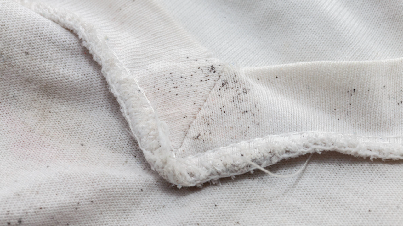 Expert shares the secret to removing mould from fabric quickly