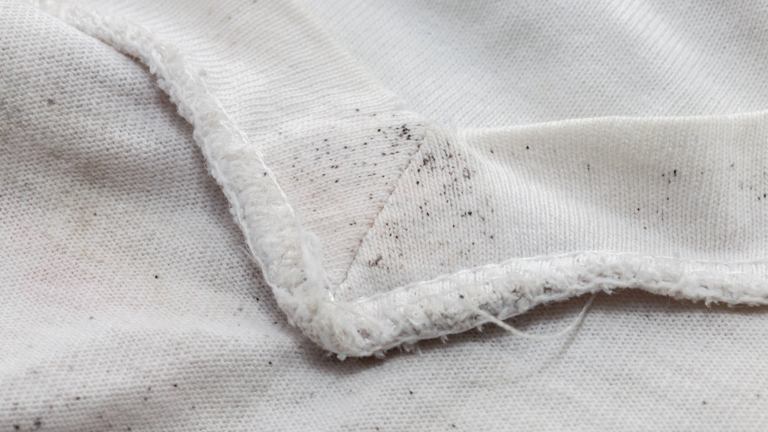 Expert shares the secret to removing mould from fabric quickly
