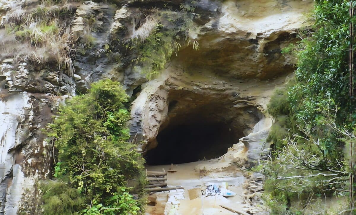 A cave sealed by volcanoes for 1 million years reveals 16 ancient ...