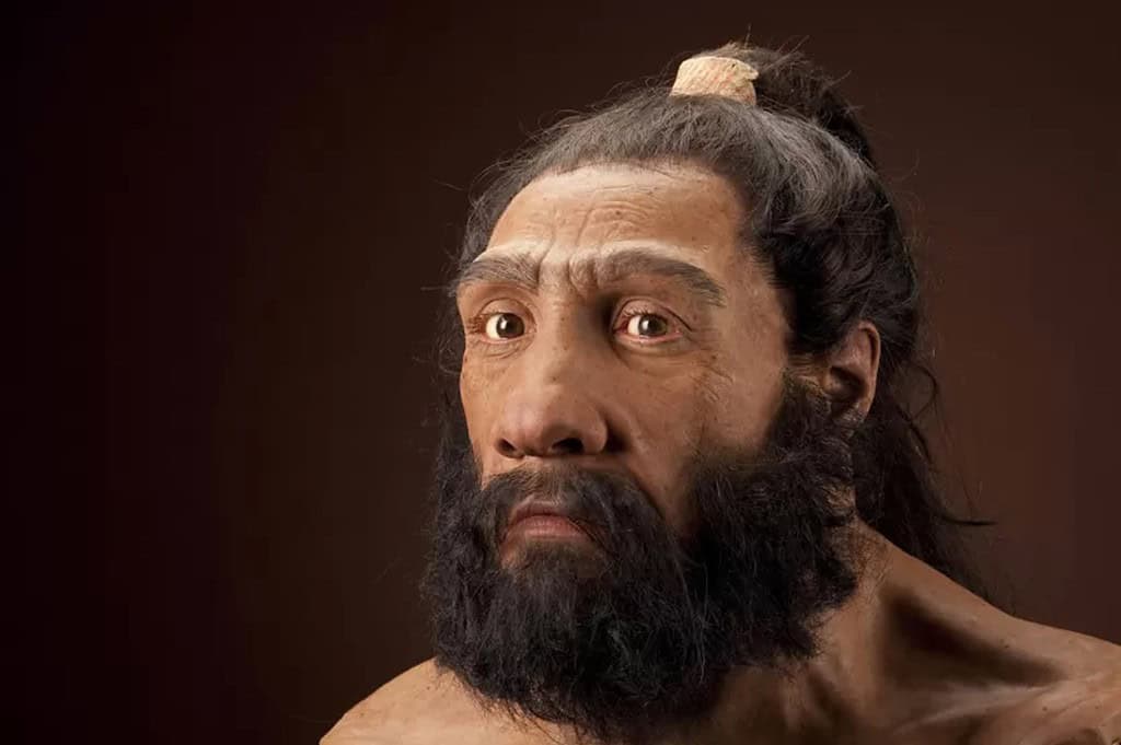 New DNA study reveals who was actually interbreeding in the Stone Age ...