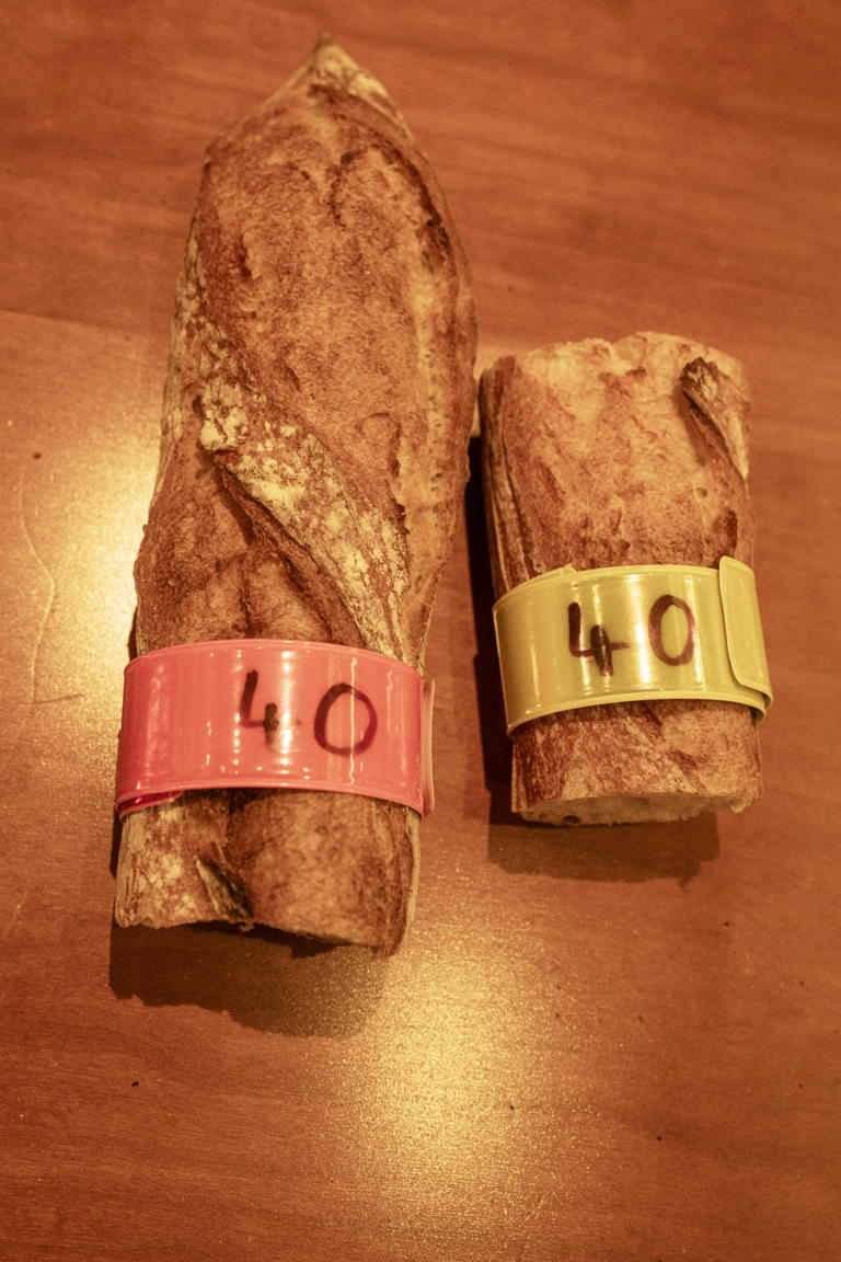 Inside the cutthroat competition for the best baguette in Paris