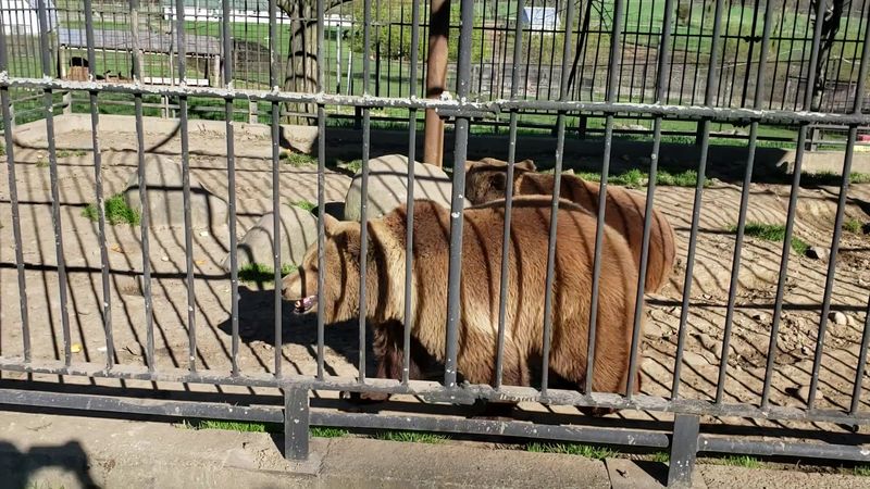 This wild New Jersey zoo and museum is home to one of the world’s ...