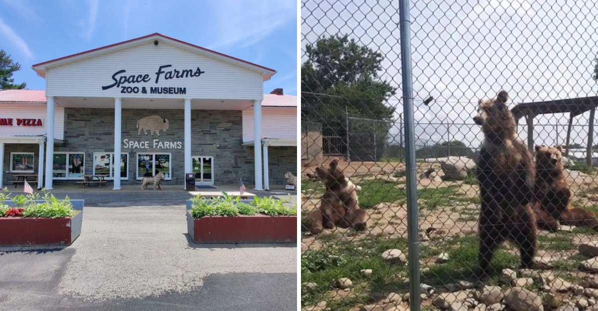 This wild New Jersey zoo and museum is home to one of the world’s ...