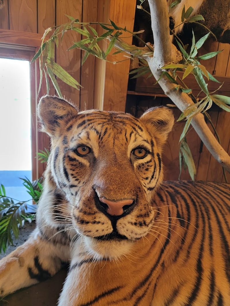 This wild New Jersey zoo and museum is home to one of the world’s ...