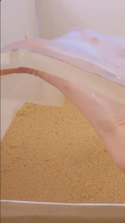 Does this look real?