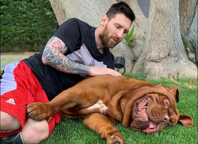 ¿Qué significa que un perro te toque con la pata?