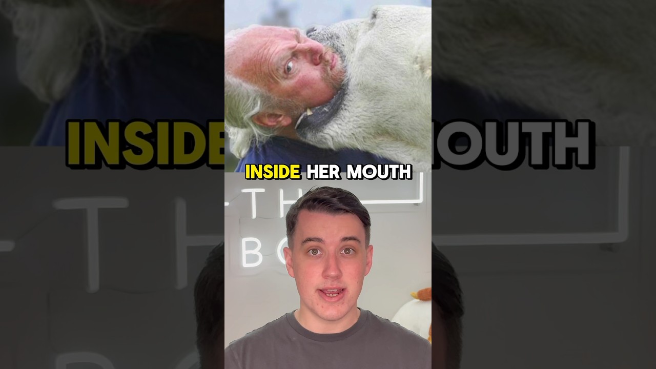Meet the man who lives alongside a massive polar bear