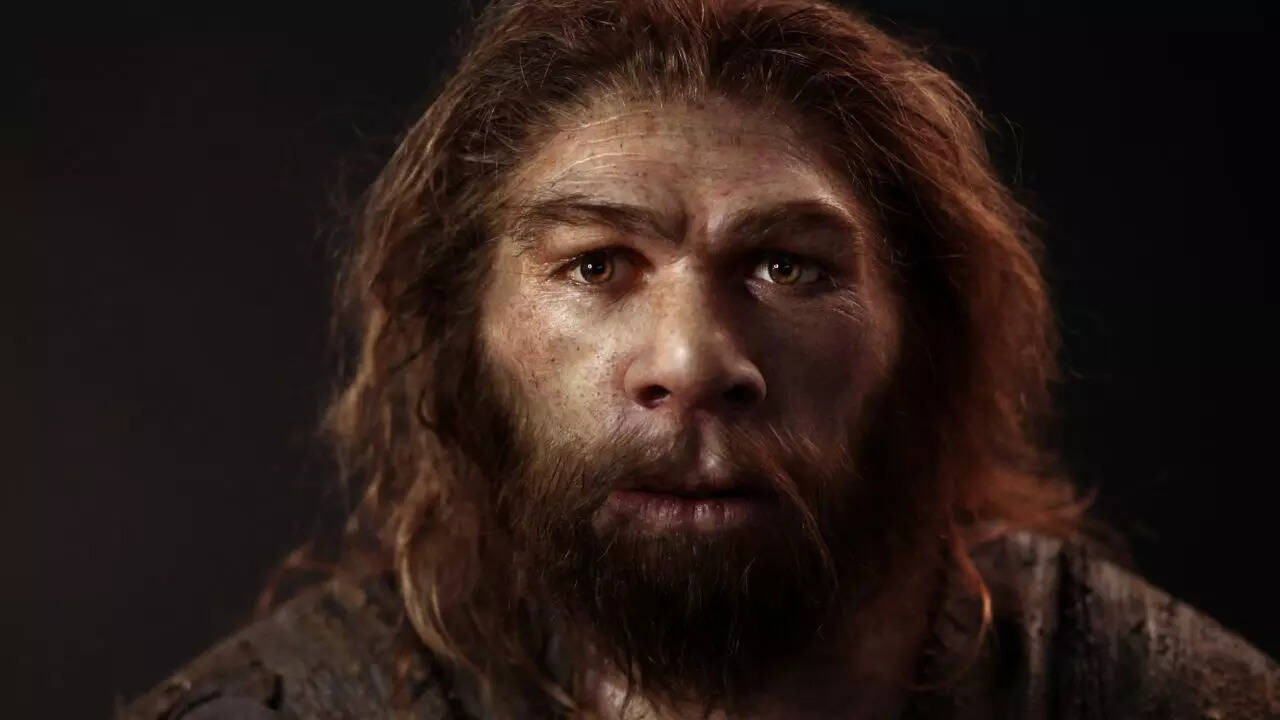 Neanderthal men may have chosen human women more often, reshaping human ...