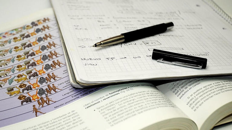 CBSE class 12 English question paper 2026 PDF: Know how to download