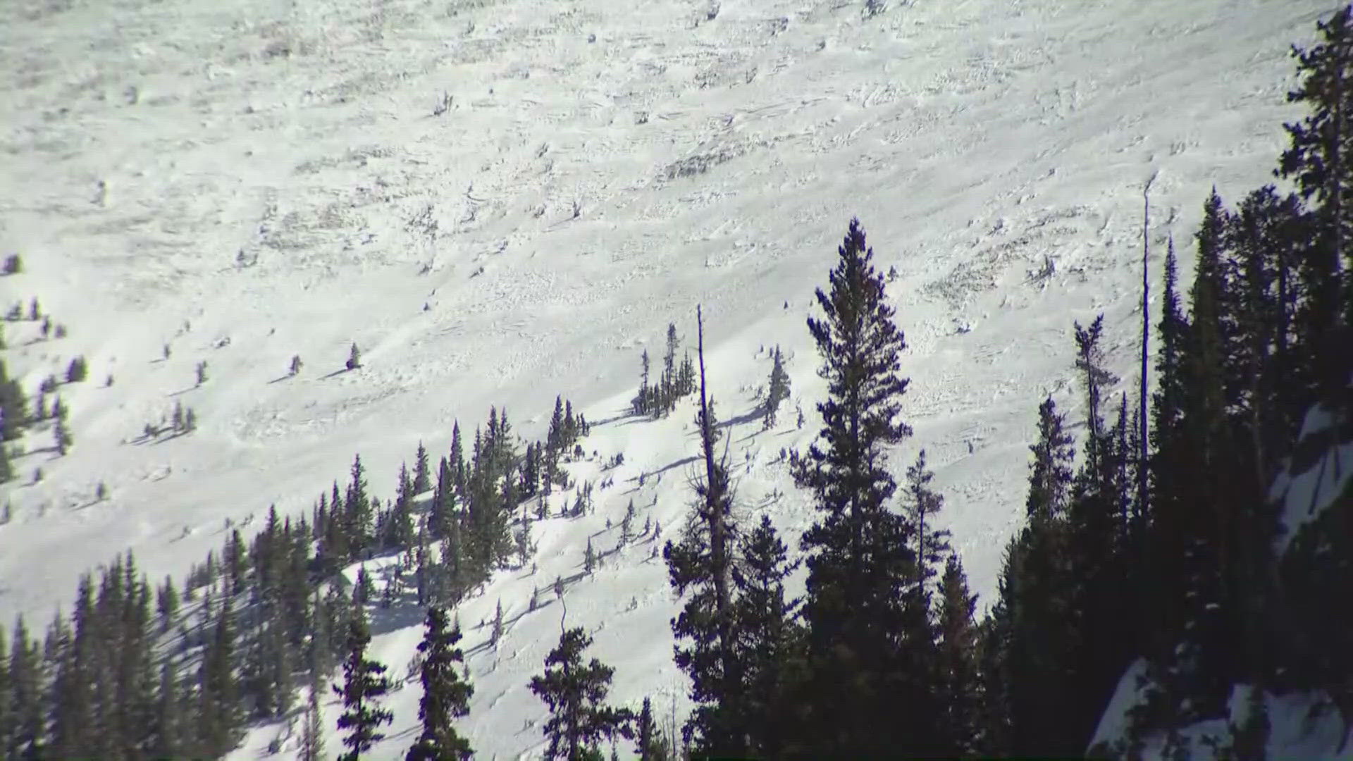 Splitboarder survives avalanche thanks to quick-thinking rescuers