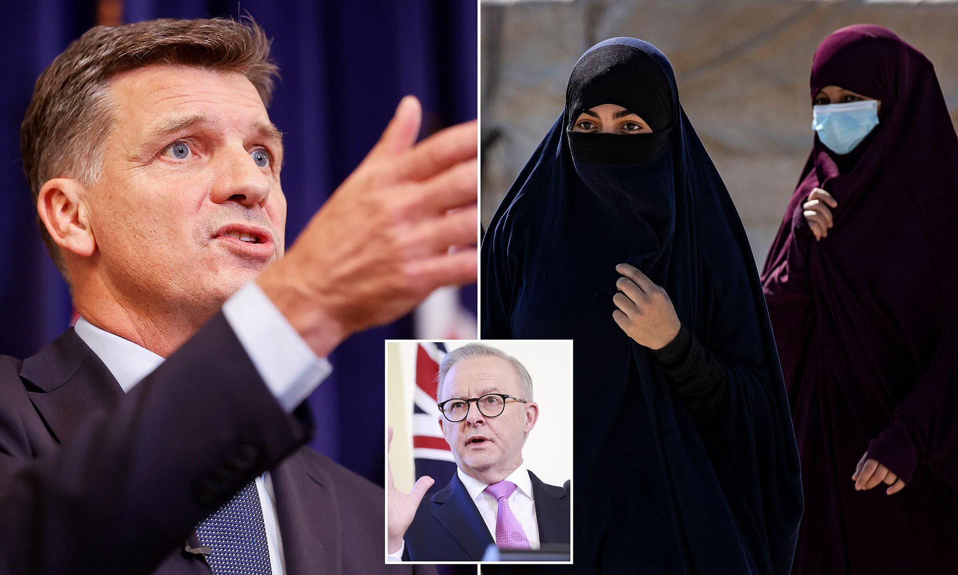 Angus Taylor says what every Australian is thinking about ISIS brides