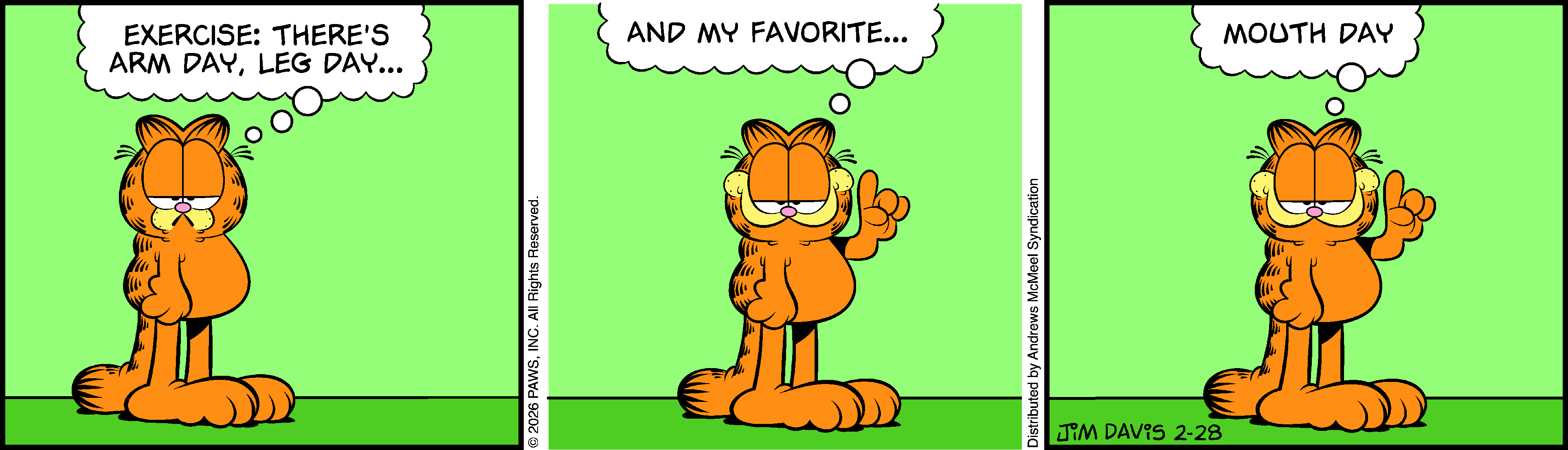 Garfield by Jim Davis