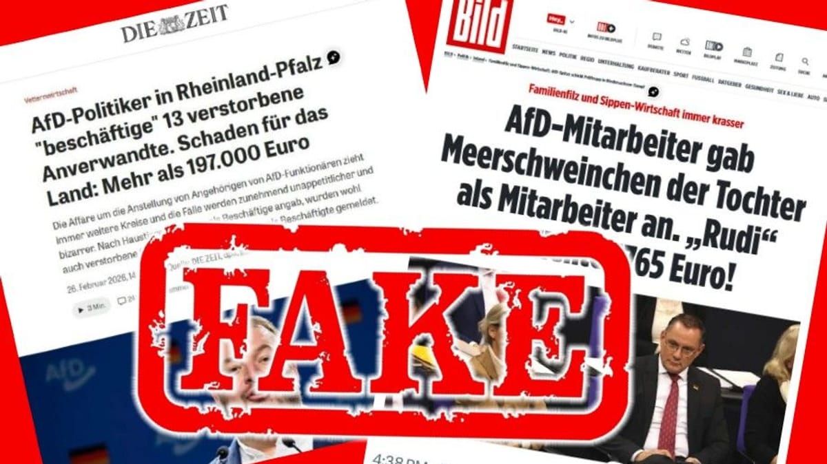 AfD-Abgeordnete beschäftigen keine Toten oder Meerschweinchen