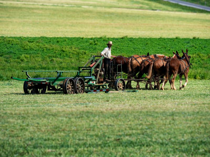 What tourism means to Amish life in Ohio