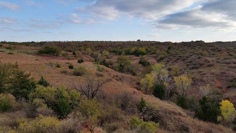 This Oklahoma grassland drive is miles of wide-open freedom