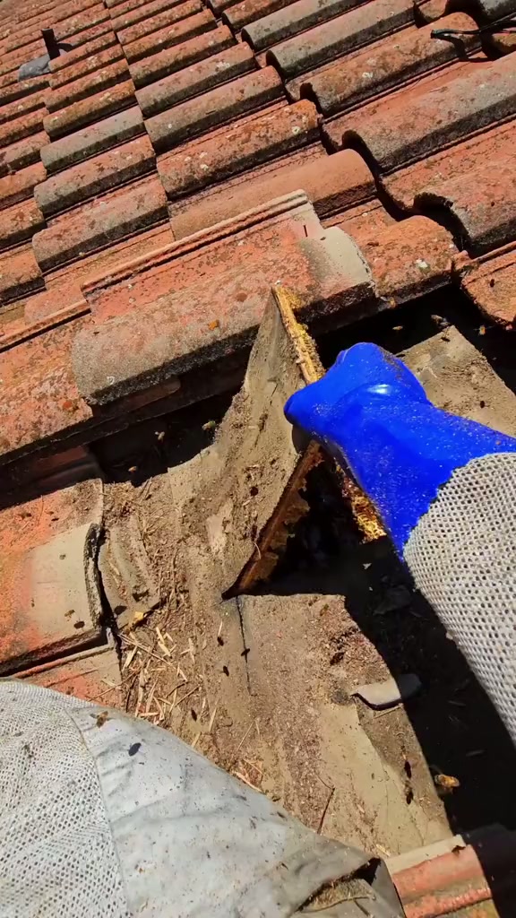 Massive hidden roof beehive removal surprise