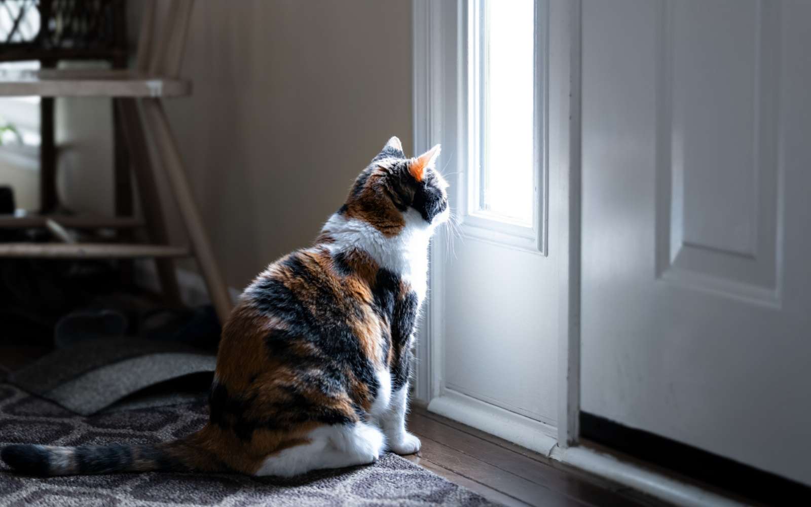 On le croit indépendant… mais la solitude a ses limites
