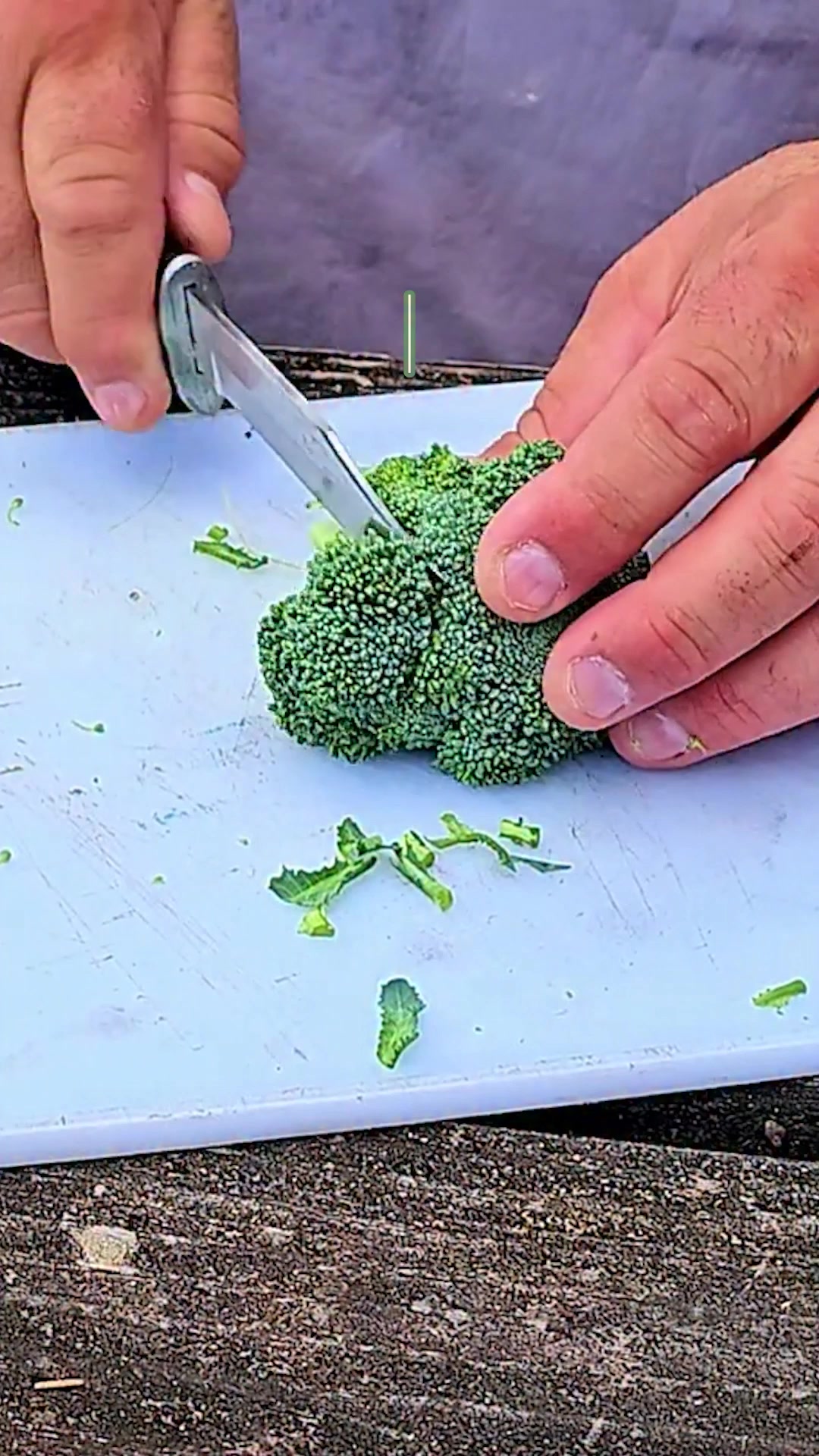 Foraged in nature, cooked on the spot