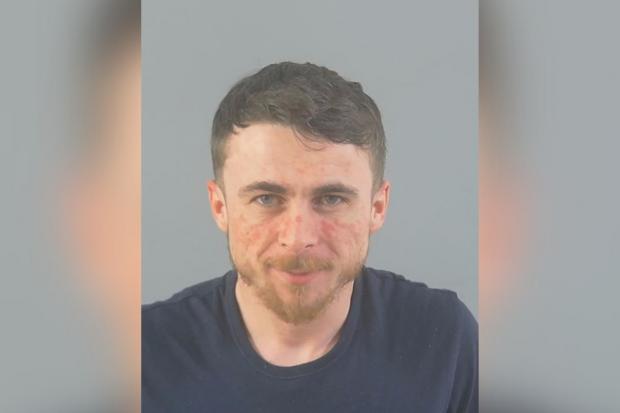 New Milton 27-year-old who killed dog after police chase jailed for 16 ...
