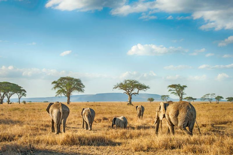 15 countries that make wildlife watching feel like a documentary