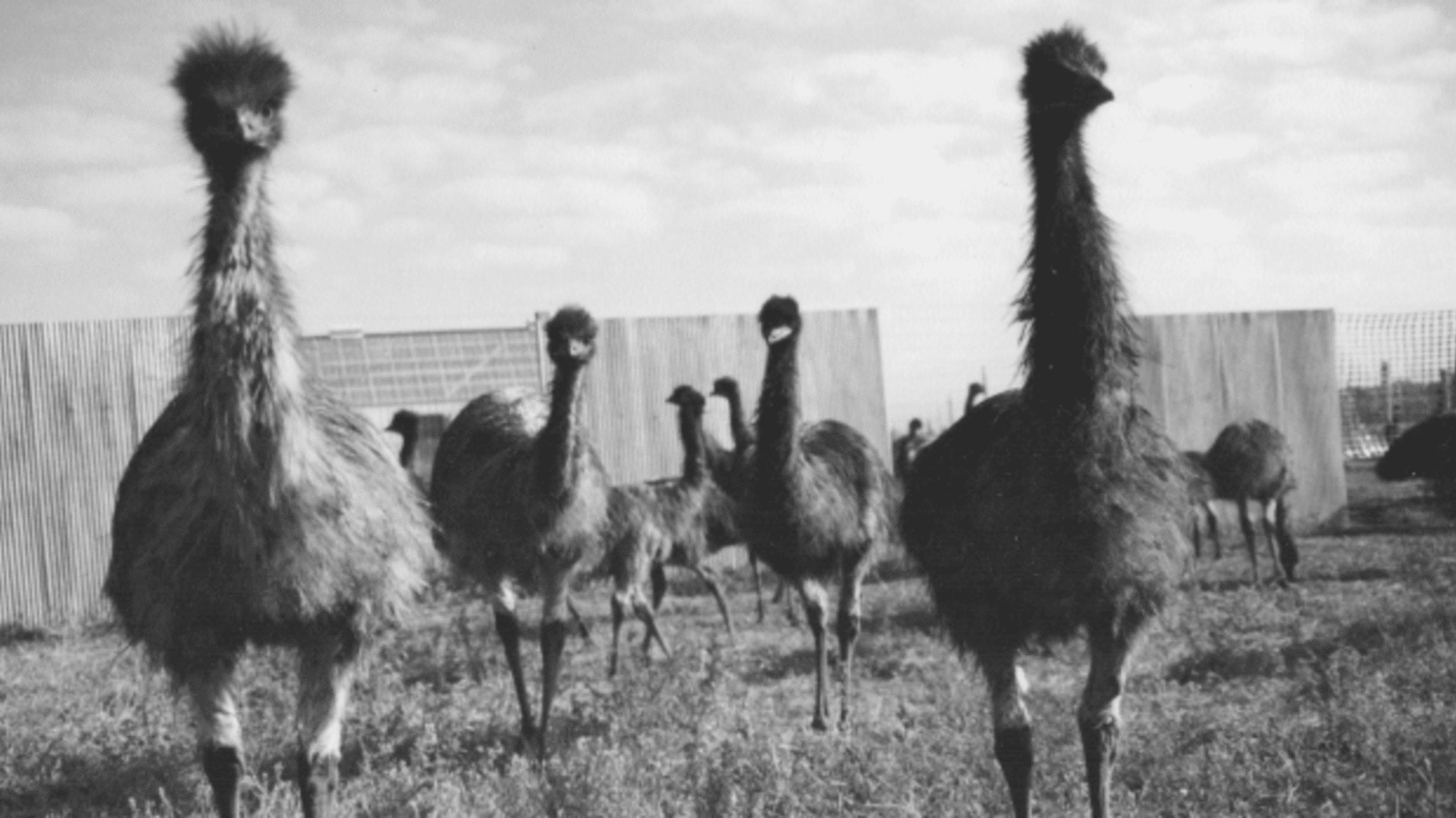 Real-life events people thought were hoaxes