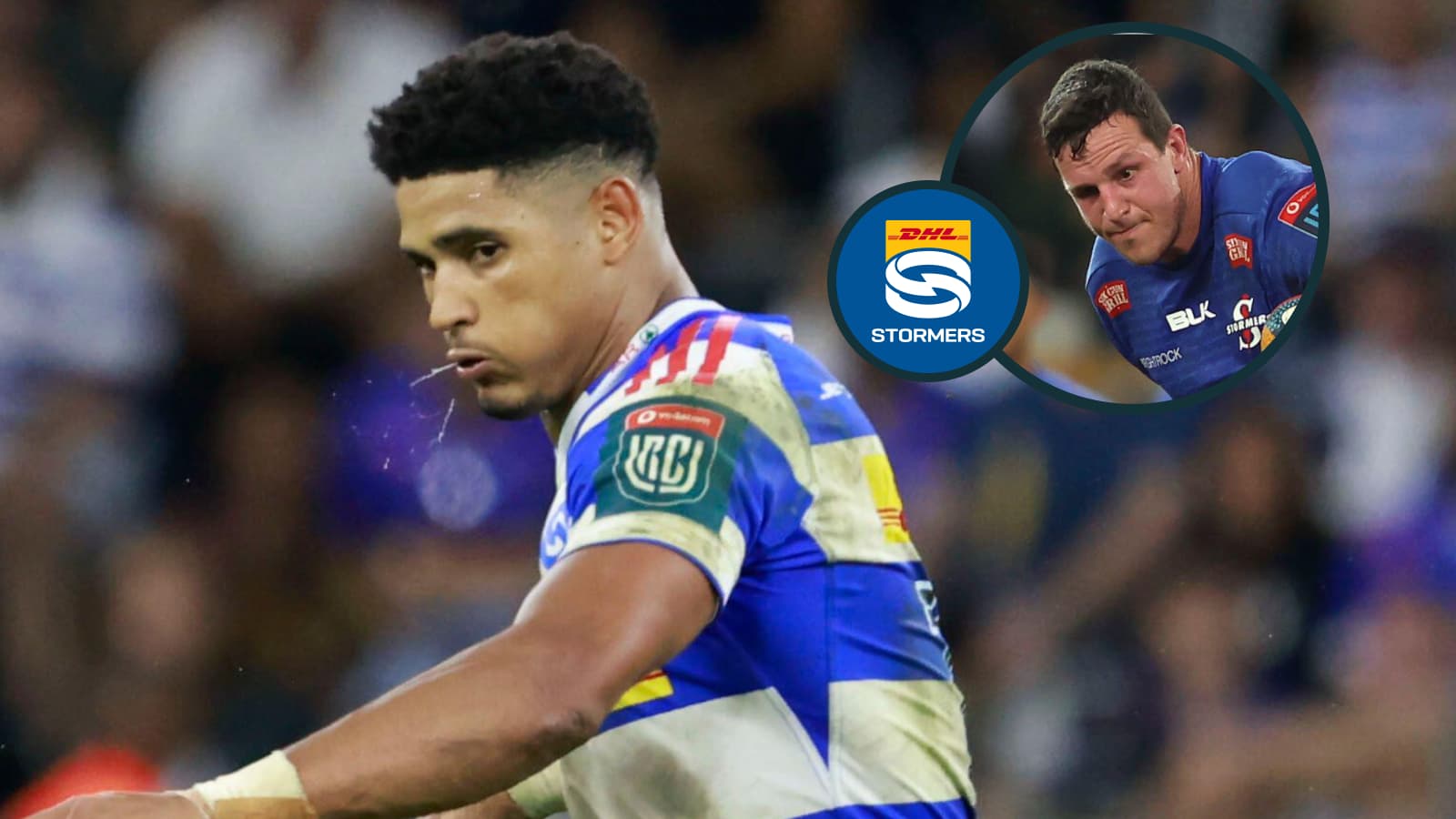 Stormers player ratings: Sacha Feinberg-Mngomezulu 'can't stamp his ...