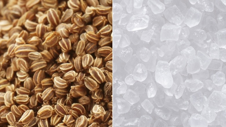 What is celery salt and what is it used for?