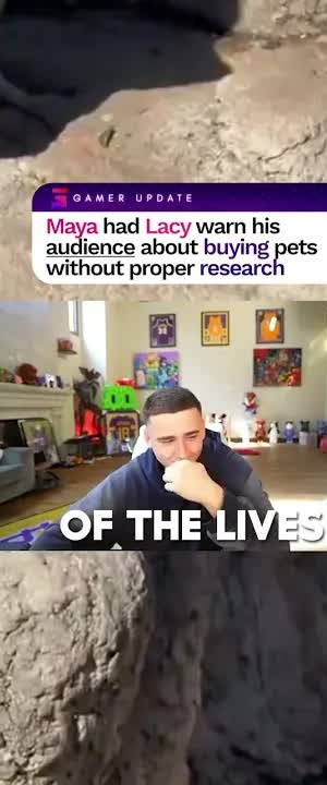 Maya and Lacy advise: research pets before buying!
