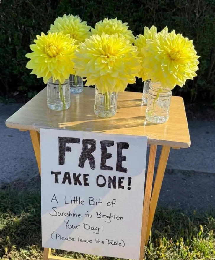 15 heavy stories that prove quiet kindness changes everything forever