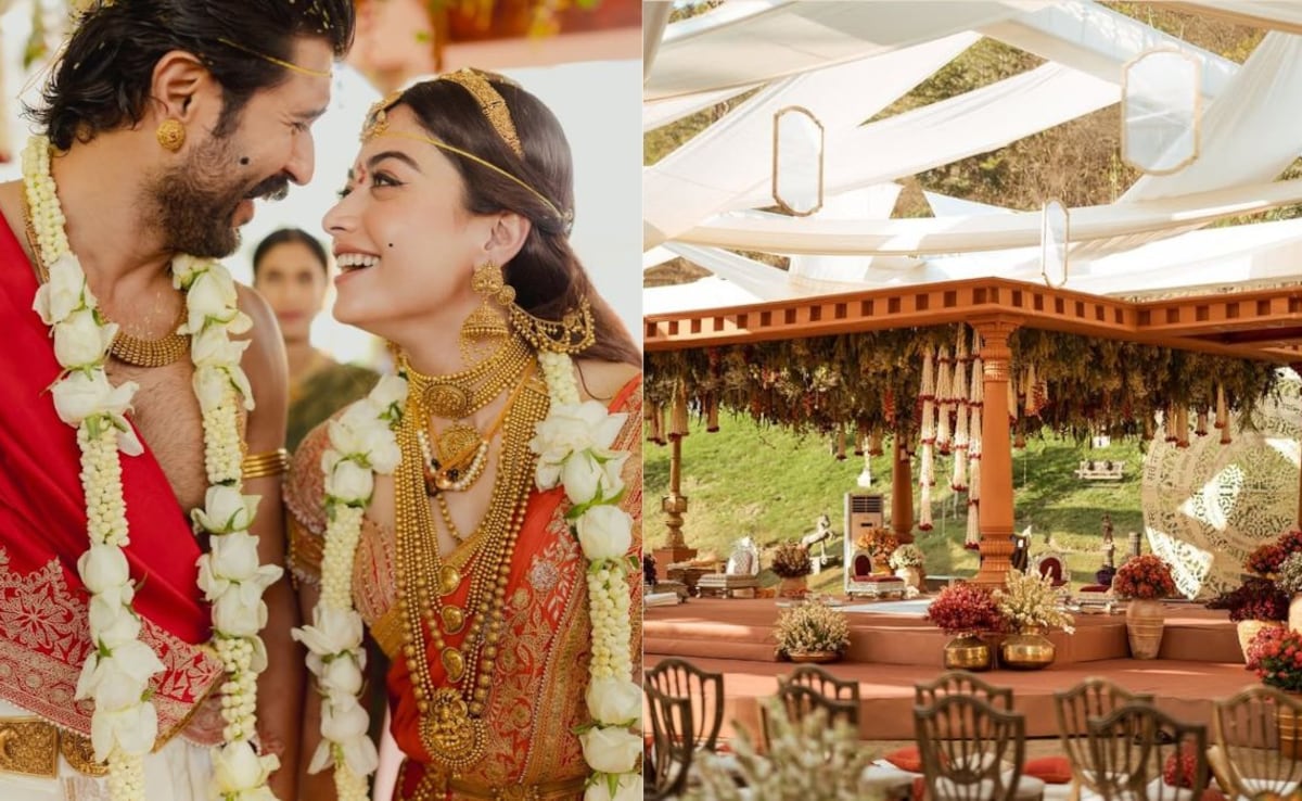 Terracotta elements, Indian heritage: How Vijay-Rashmika's Udaipur ...