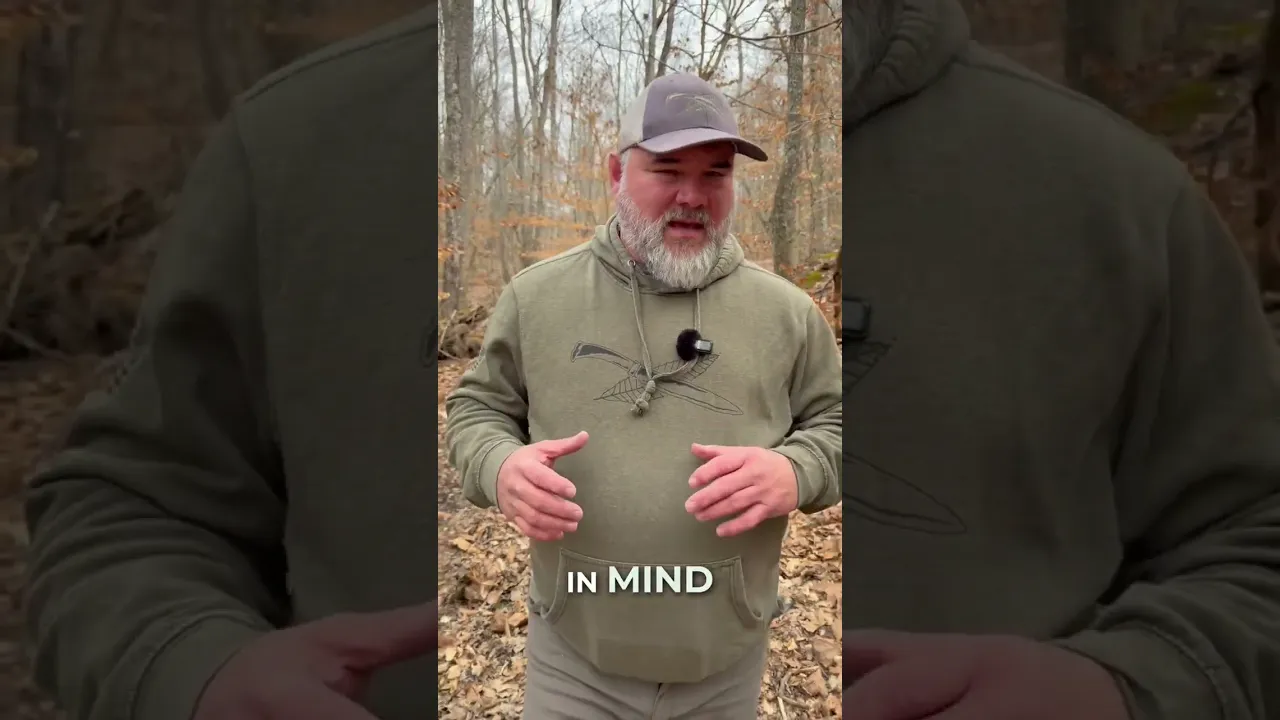 How to find owls in the wild 🦉