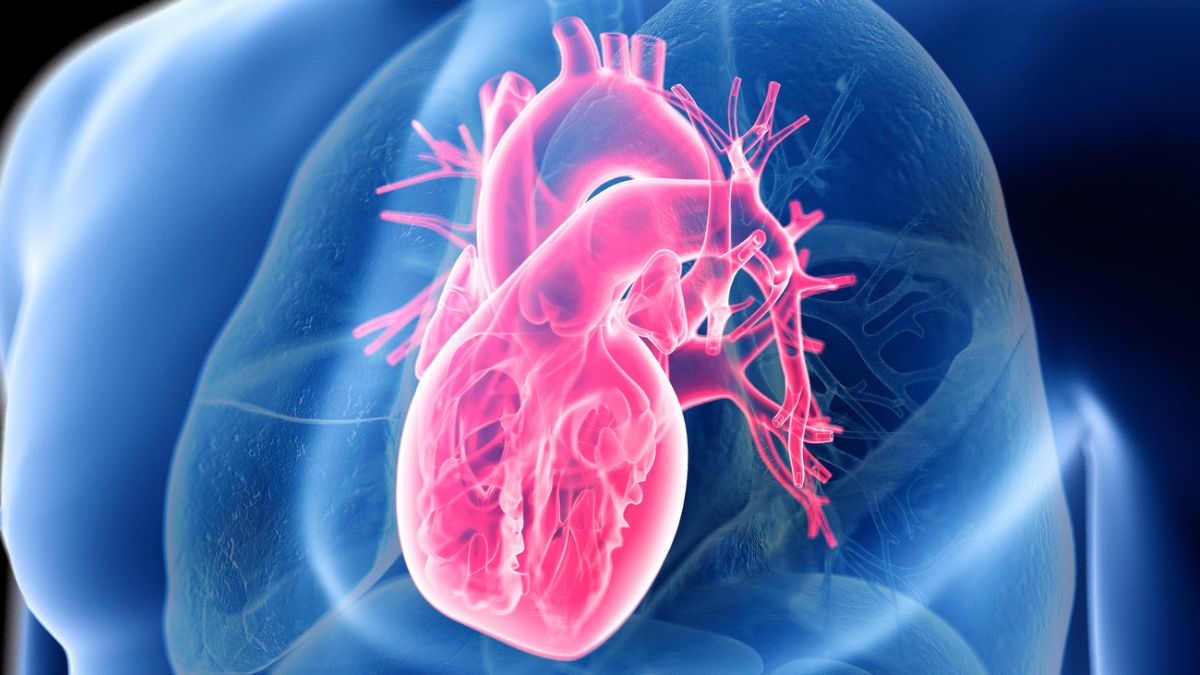 Giant study reveals the secret to heart health isn't low-carb or low-fat