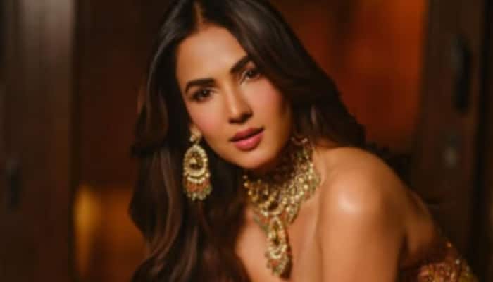 Sonal Chauhan stranded in Dubai after flight cancellations, seeks ...