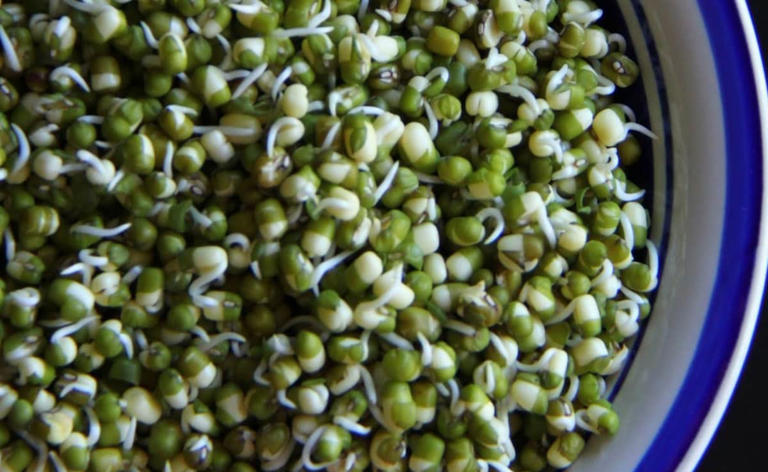 The iron-heart connection: How moong dal sprouts fight anaemia and ...