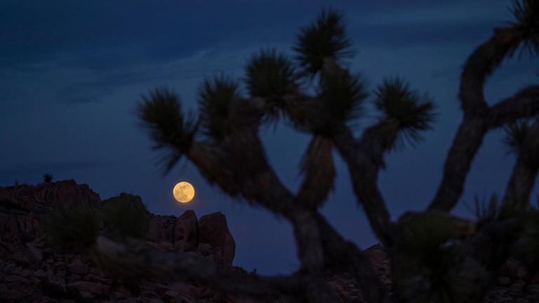A rare lunar eclipse and blood moon will hit the US this week. Here’s ...