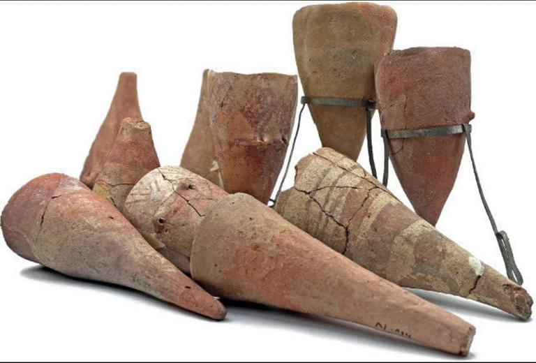 Israeli researchers crack century-old mystery of cone-shaped vessels ...