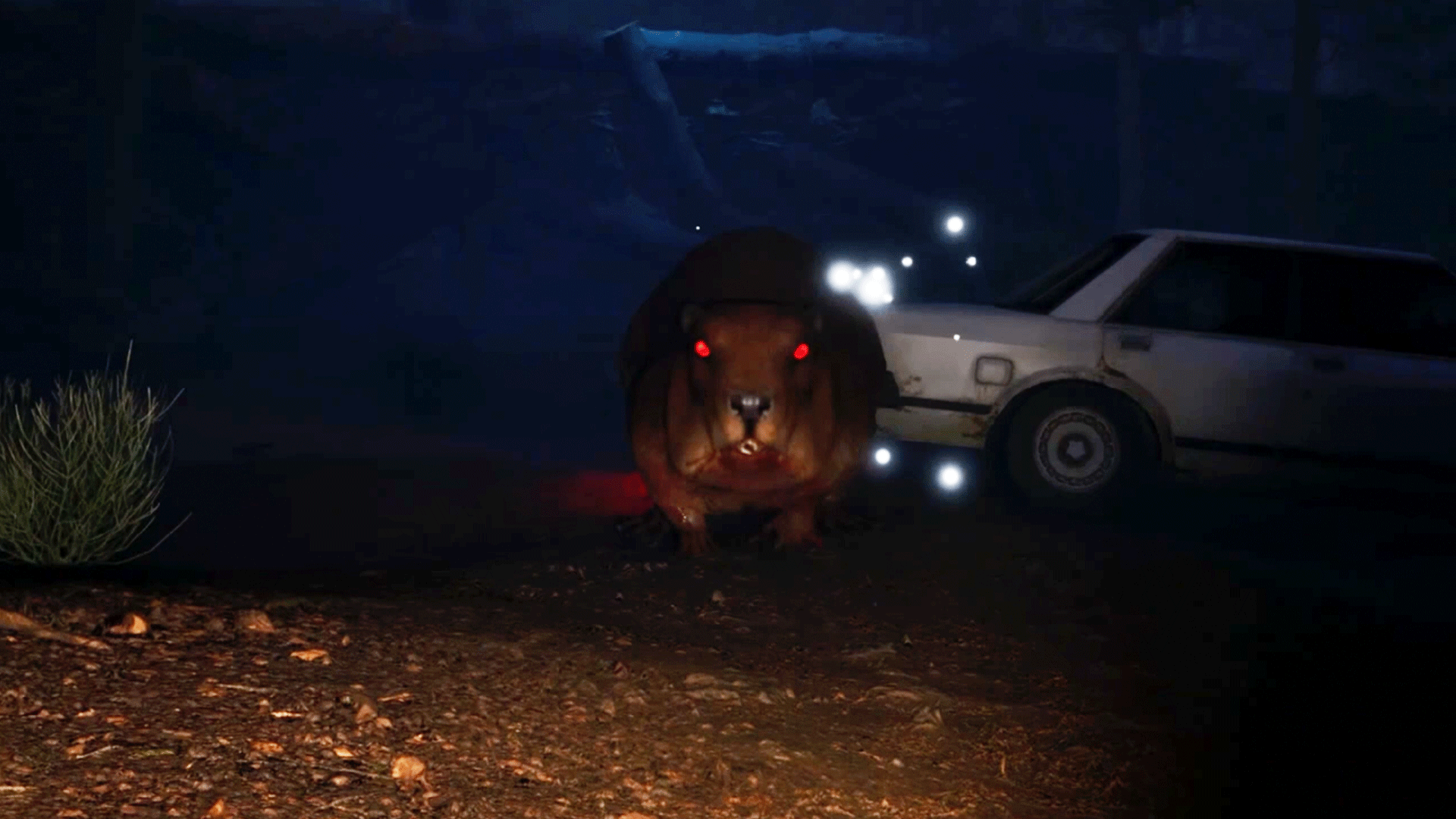 Don't mess with Bober - official release date trailer