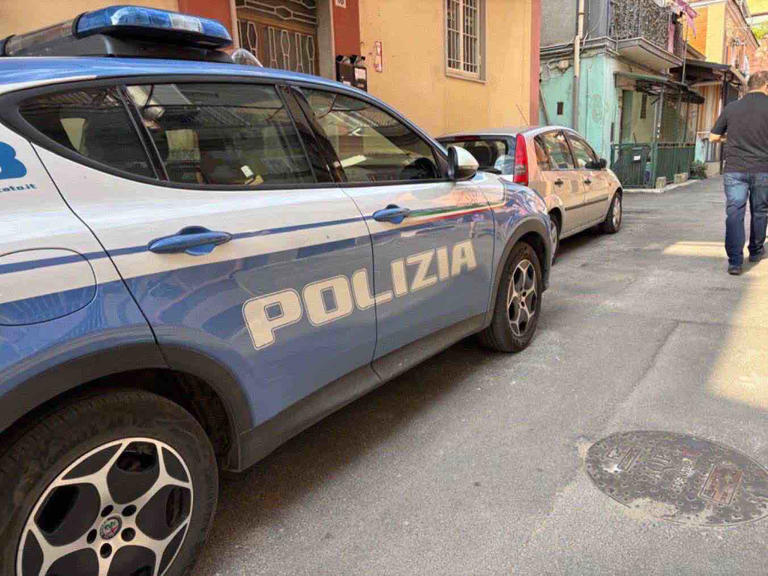 Accoltellato perché difende una collega dalle molestie, grave un 23enne ...
