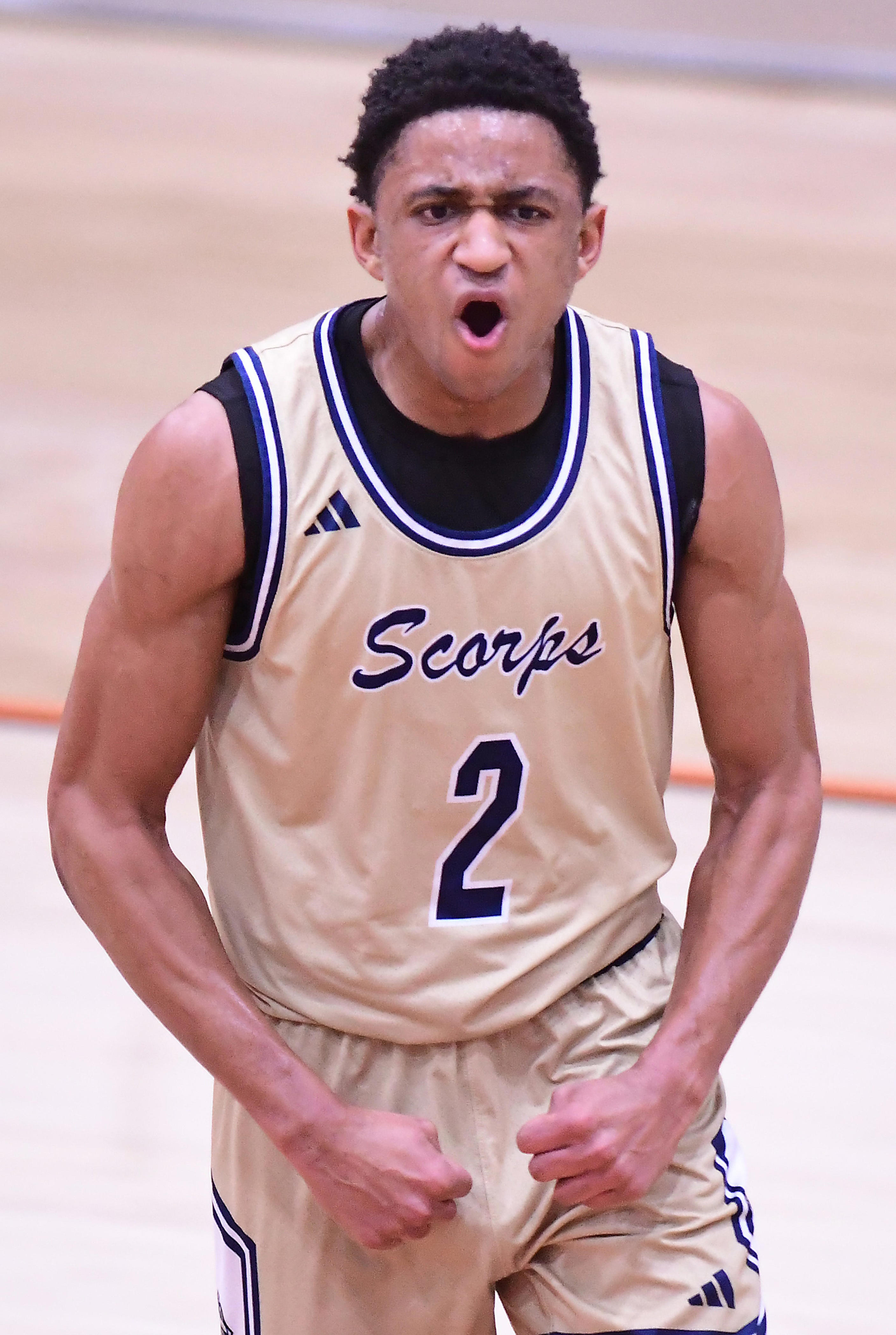 StarNews all-area boys basketball: Will Seward fuels Hoggard's surge