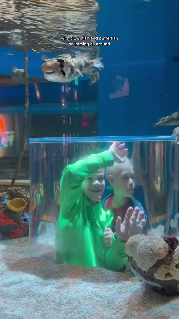 Family fun in Gatlinburg and Pigeon Forge you should not miss