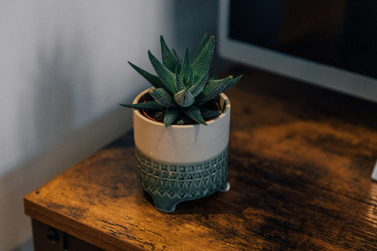 How to choose and arrange small decorative items to enhance the style ...