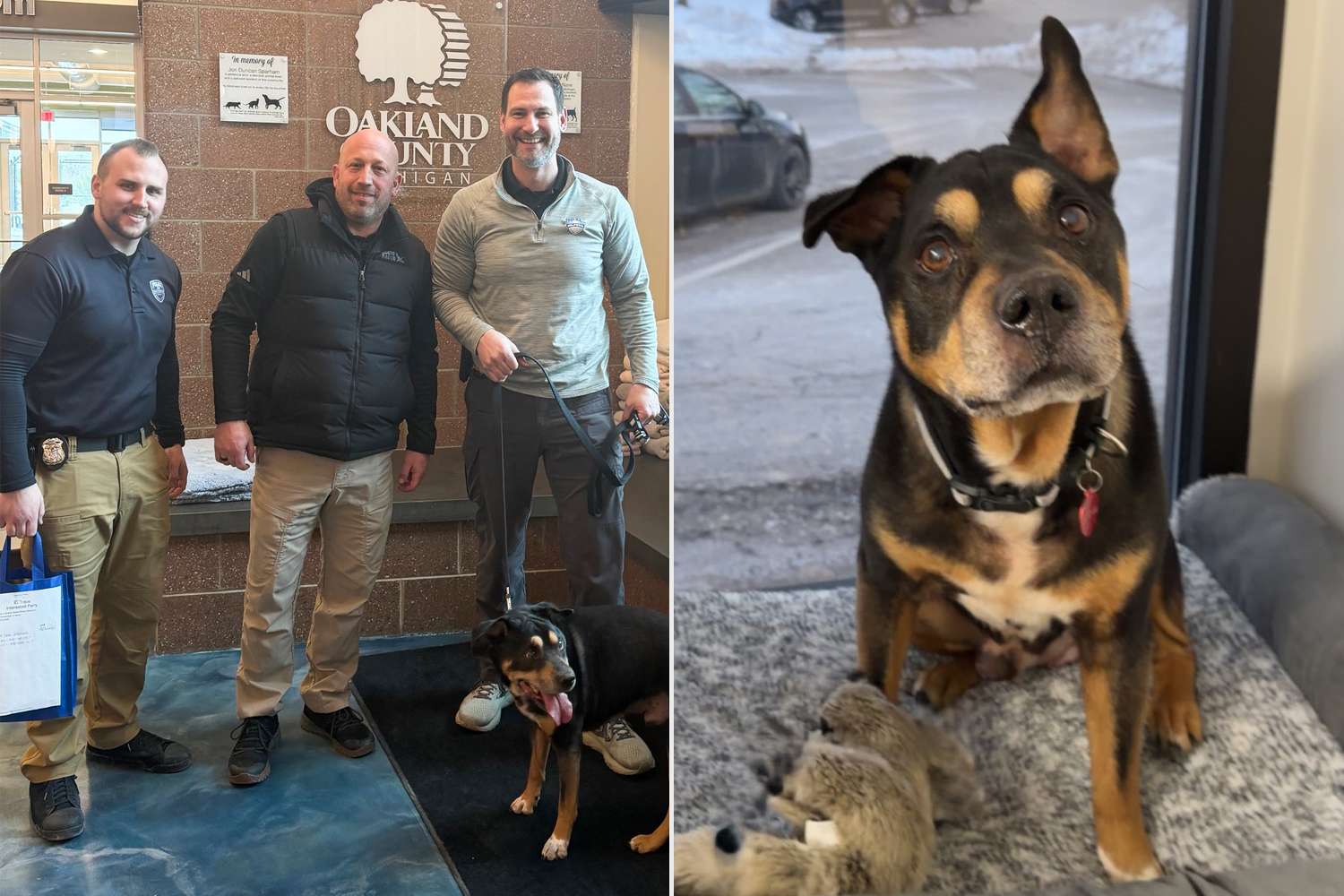 Police department adopts stray senior dog. Now, he lives at the station