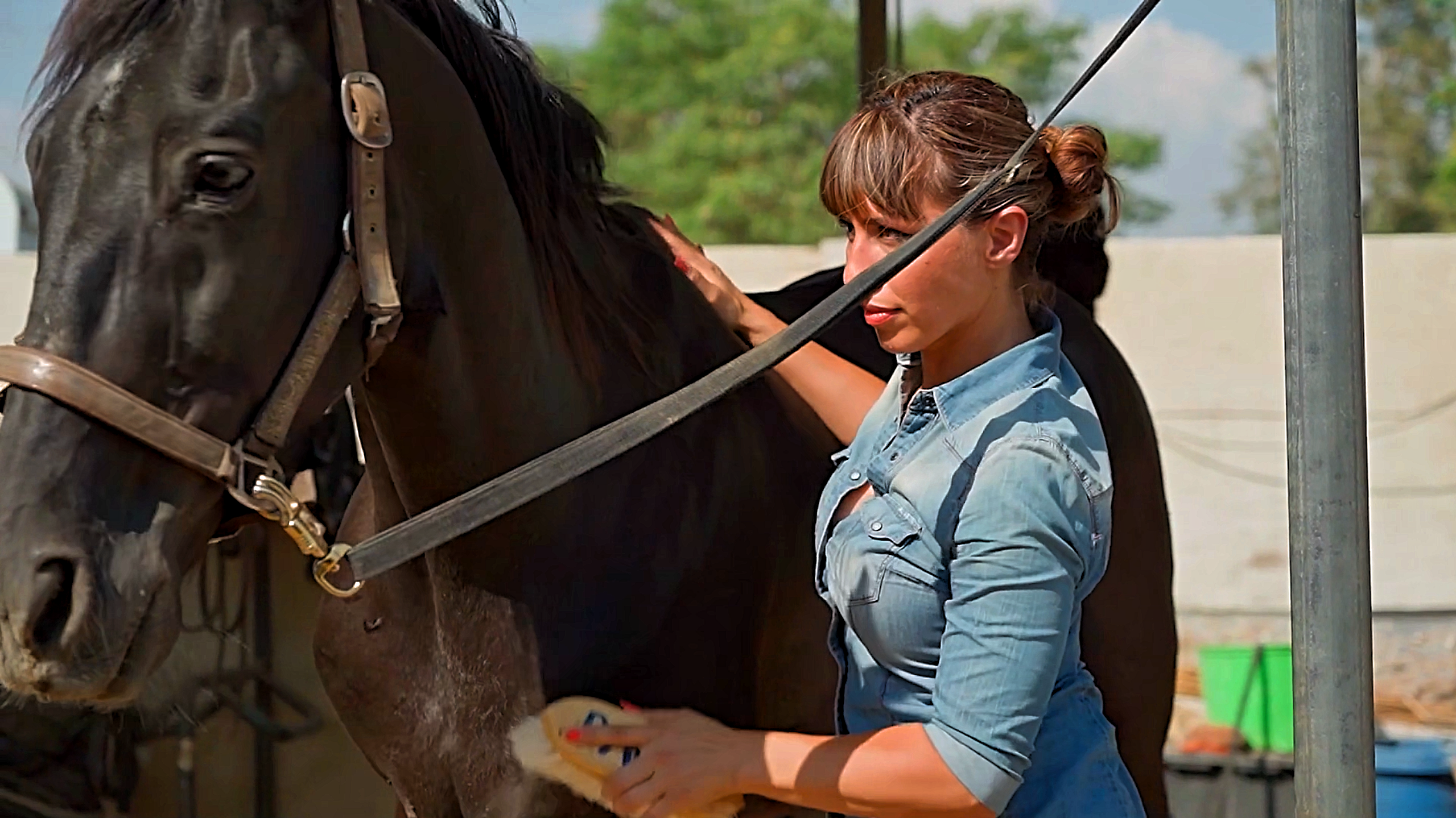 A girl brushes her horse with so much love in a peaceful moment