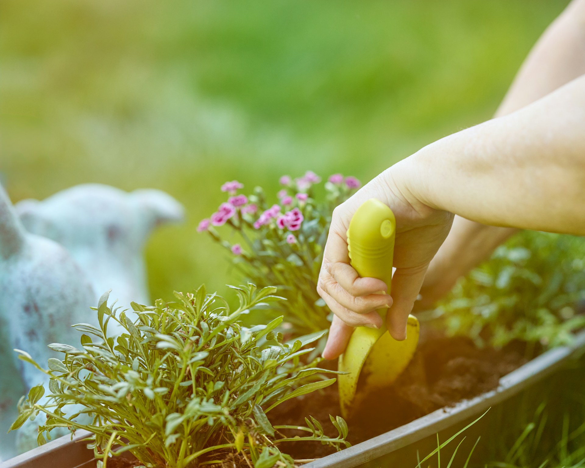 10 gardening mistakes that kill your vegetable patch