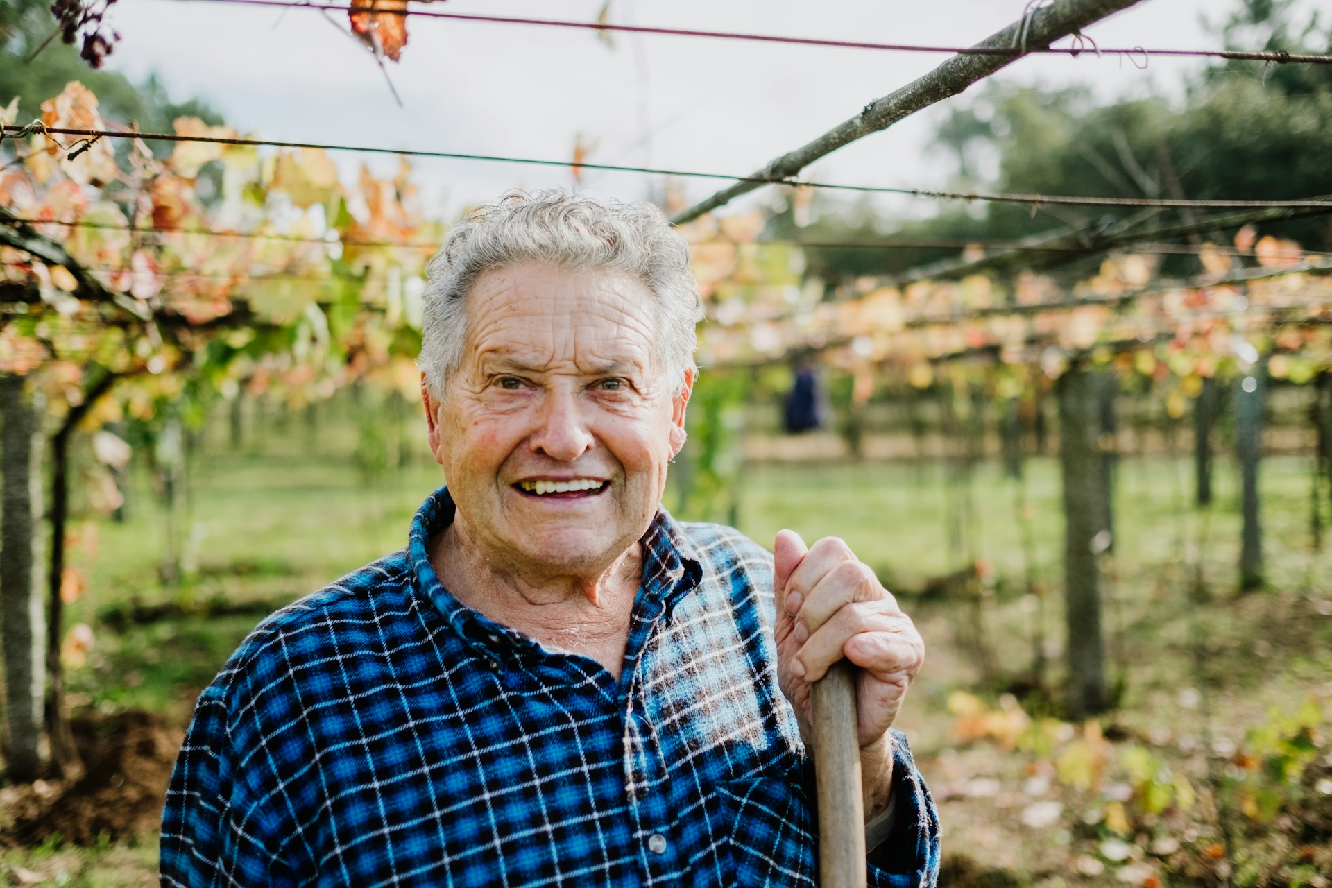 10 gardening mistakes that kill your vegetable patch